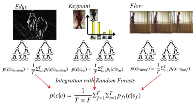 Human Action Recognition With Feature Integration